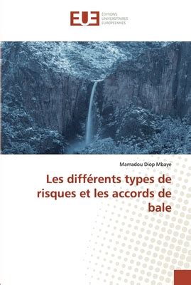 Les Diff Rents Types De Risques Et Les Accords De Bale By Mamadou Diop