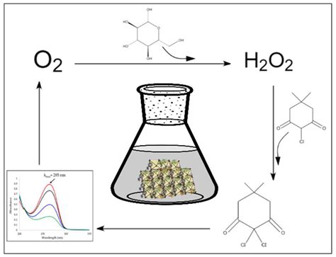 Catalysts Free Full Text Immobilization Of A Bienzymatic System Via