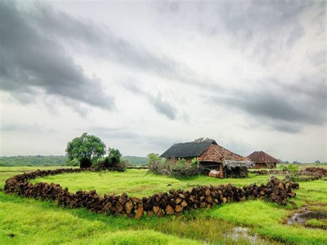 Maharashtra Weather Rain Prediction Next 4 Days Latest Monsoon News In