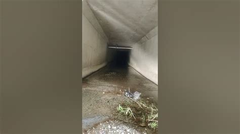 나의 아지트 막걸리 한잔 영상을 보시는 모든분 행복하세요 Youtube