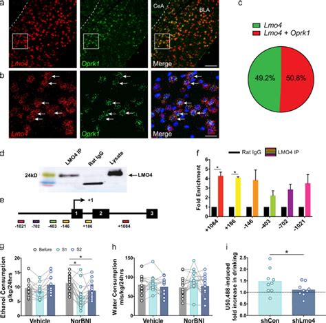Differential Regulation Of Alcohol Consumption And Reward By The Transcriptional Cofactor Lmo4