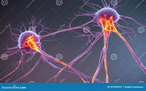 Neurons In Action A Visual Representation Of Neural Activity Stock