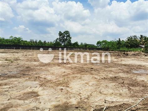 කඩුවෙල Low Level පාරට නුදුරින් අගනා බිම් කොටස් Ikman