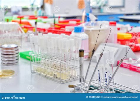 microbiology laboratory stock image image of laboratory 158135825