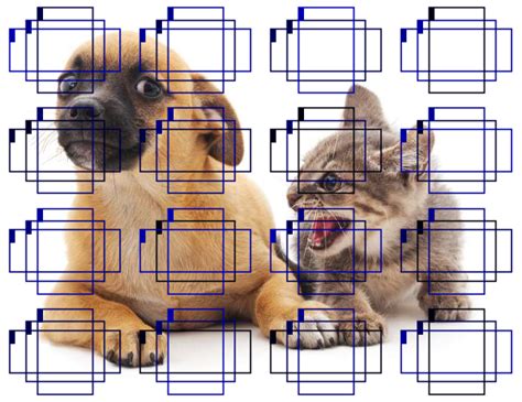 133 Multiscale Object Detection — Dive Into Deep Learning 010