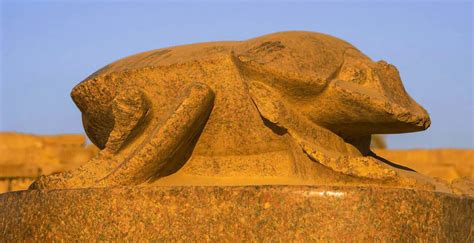 The Scarab Beetle Meaning Ancient Egyptian Scarabs