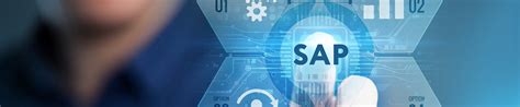sap domain technology group