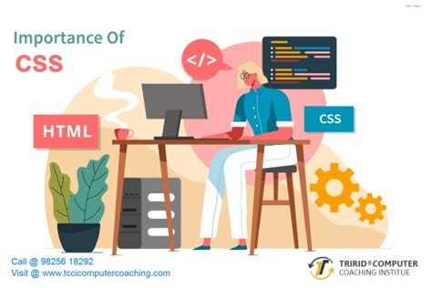 Importance Of Css Tccicomputercoaching