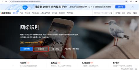 百度ai使用 图像文字识别 实现百度图像内容理解 csdn博客