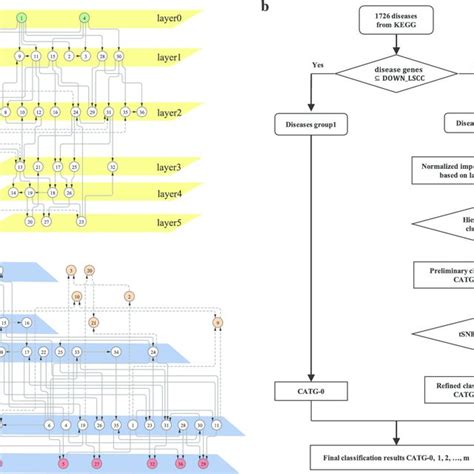 Layered Networks And Lamp Classification Approach Flow A Illustration