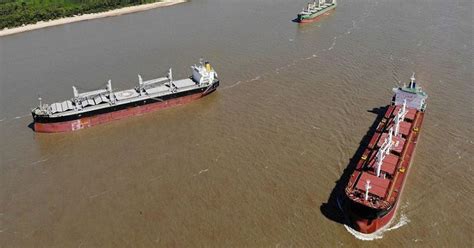 Se Detectaron Cianobacterias En El Río Paraná Y Recomiendan Evitar El