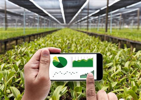 Conventional To Modern Methods Of Soil NPK Sensing A Review The LNM Institute Of Information