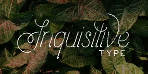 Inquisitive Type Linkedin