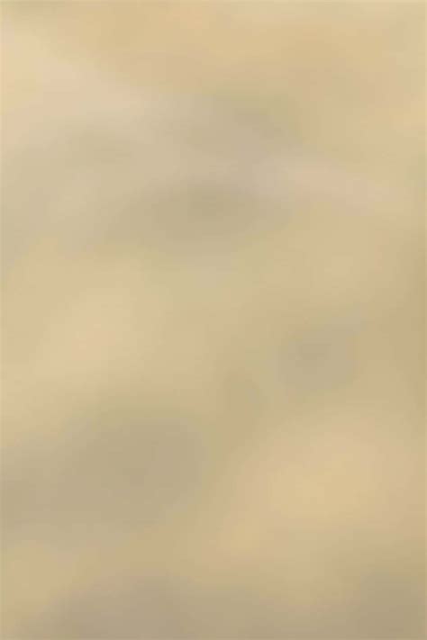 Download Light Tan Background