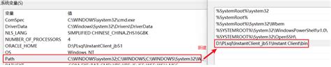 Plsql环境配置详细步骤plsql环境变量配置 Csdn博客