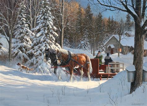 Lakeside Cabin 1000 Piece Jigsaw Puzzle Cobble Hill Tri M