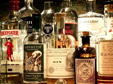 What Is The Difference Between Gin And Vodka Gin Reviews 46 Off