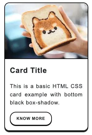 Css Card Design Bottom Box Shadow Coding Yaar