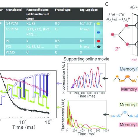 A Table For Fractal Synthesis B Loglog Plot For The Reaction Rate Download Scientific
