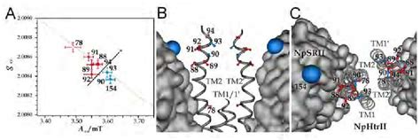 Figure 1 From 21 Site Directed Spin Labeling And Electron Paramagnetic Resonance Epr