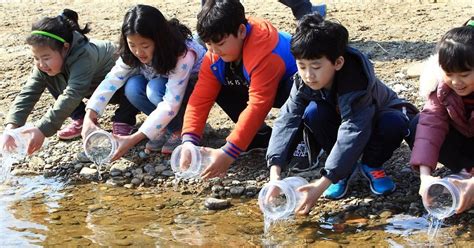 연어야 다시 만나자양양서 아기연어 보내기 체험축제 개최