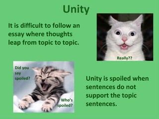 Unity Coherence Development 1 PPT