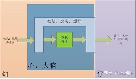 再次觉悟：从王阳明知行合一到通用知识的知行合一 知乎