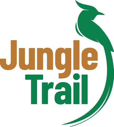 Gir Jungle Safari