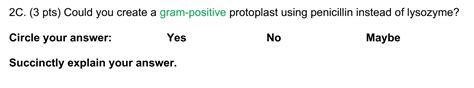 Solved 2c 3 Pts Could You Create A Gram Positive