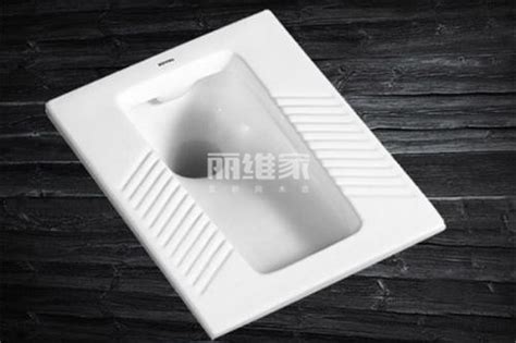 蹲便器结构蹲便器结构原理图详解 家居百科 丽维家