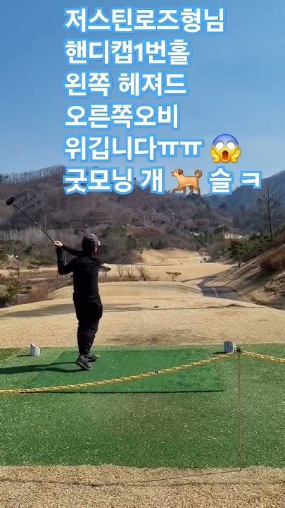 굿모닝 개 🐕 슬😱 루틴 Golf 맛집 페이드샷 골프 소맥 골프레슨 소주 골프스윙 드라이버샷레슨 슬라이스페이드풀페이드드로우드로우샷골프레슨루틴