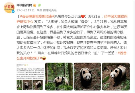 大熊猫“香香”隔离检疫期结束，未来将与公众见面家乡网友日本
