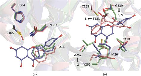 Iucr The Crystal Structure Of Benzo­phenone Synthase From Garcinia Mangostana L Pericarps