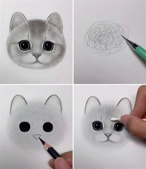Draw A Cat Face With Simple Tricks House Cat Face Pencil How To