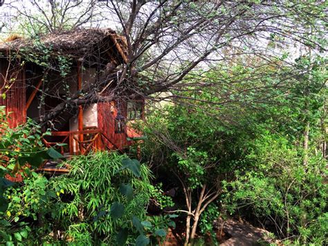 There S A Tree House Resort In Jaipur With Views Of A Waterfall Curly Tales