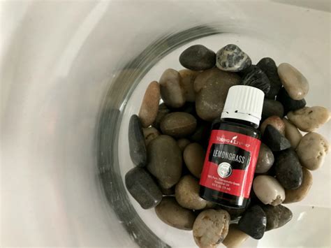 All About Lemongrass Essential Oil Recipes With Essential Oils