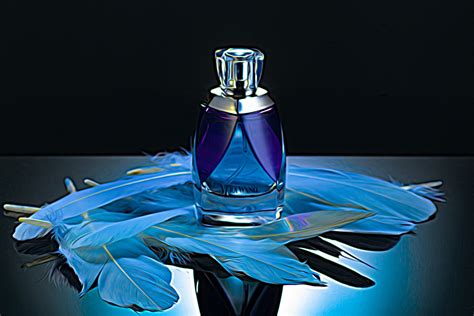 Scent And Feathers By Ron Fredericks 500px