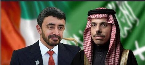 يؤكد وزير خارجية المملكة والإمارات على بناء شراكة استراتيجية لدعم الأمن