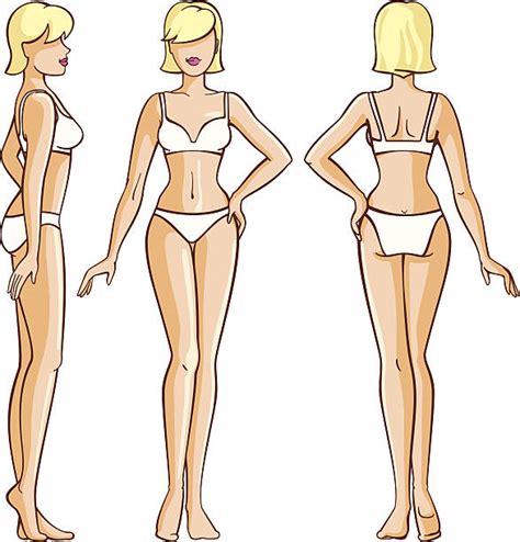 40 Cartoon Of A Female Buttocks Anatomy Stock Illustrations Royalty