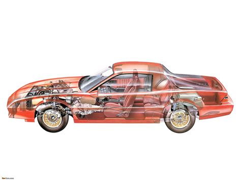 1982 Chevrolet Camaro Information And Photos MOMENTcar