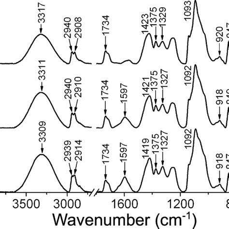 Typical Stressstrain Curves Measured For The Nanofibrous Membranes