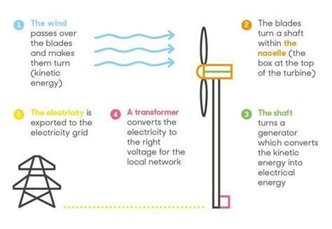 An Illustration Of How Wind Turbines Generate Renewable Energy