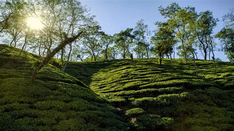 Assam Famous Barak Valley Assam Tourism News In Hindi Samachar