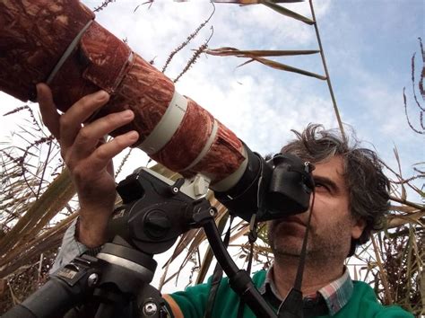 نیمرخ شمالی البرز در شبکه مستند