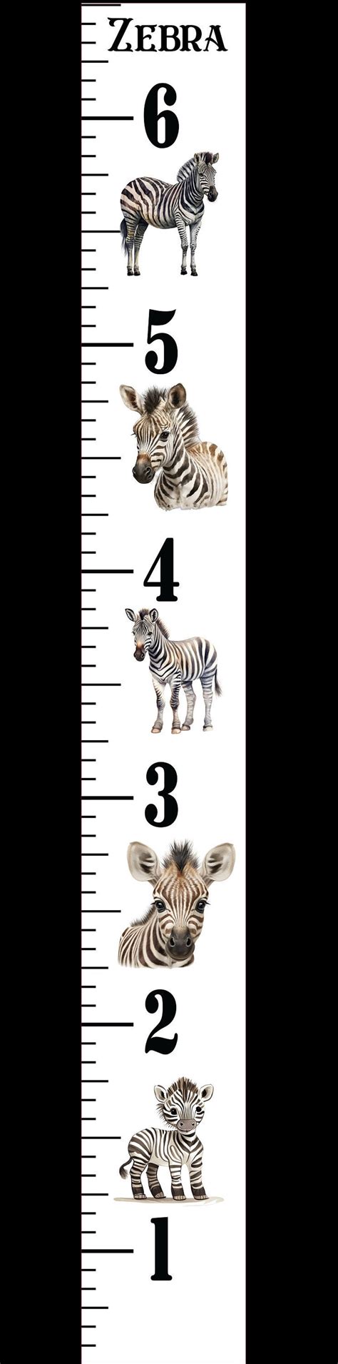 Zebra Life Size Growth Chart Etsy