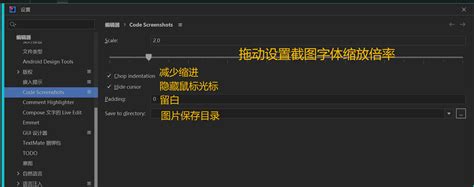 Idea 代码长截图免费插件 Code Screenshots 哔哩哔哩