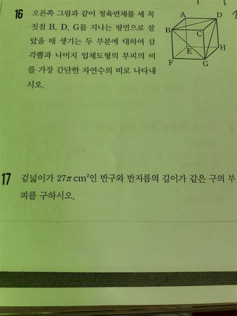 풀이과정 부탁드려요 지식in