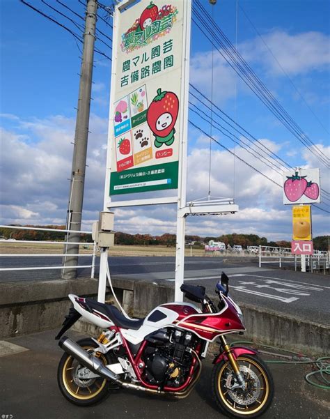 すうさんの投稿した愛車情報 CB1300 SUPER BOL D OR 何気ない1枚です 皆様にありがと バイクのカスタム