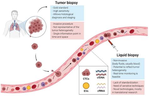 Tissue Versus Liquid Biopsy Comparison Of The Advantages And Limitations Download Scientific