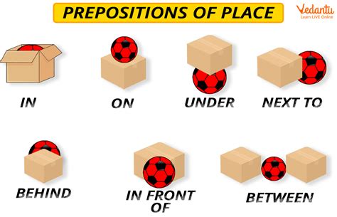 Prepositions Of Location Turtle Diary 55 Off